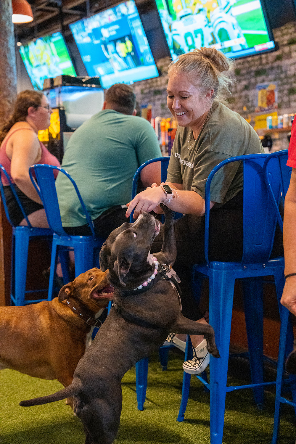 Franchising – Pups Pub